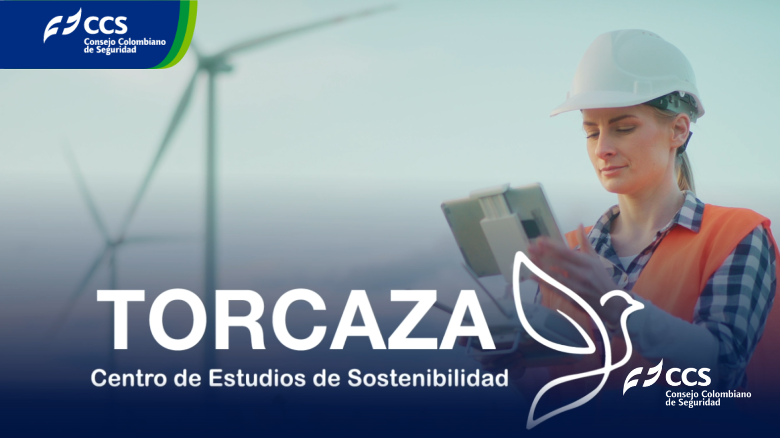 Colombia ya cuenta con un manual para la señalización de ambientes 100% ...